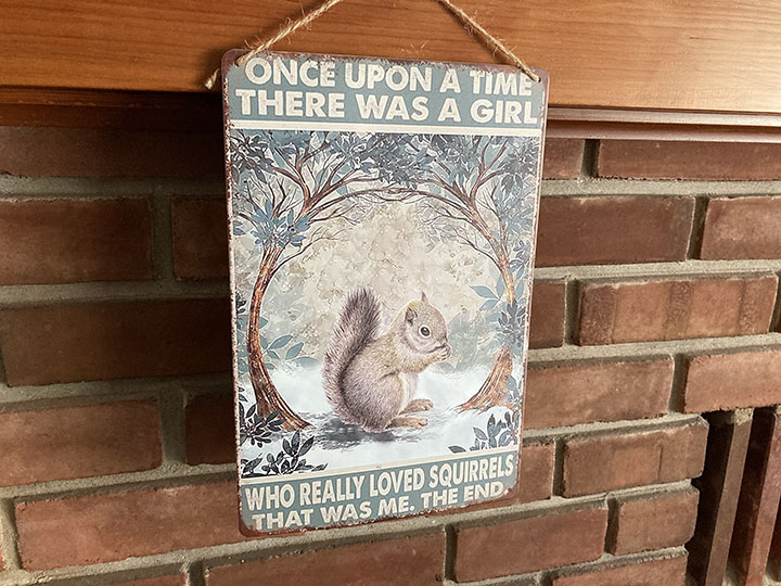 Alpena-area woman cares for, photographs squirrels | News, Sports, Jobs ...